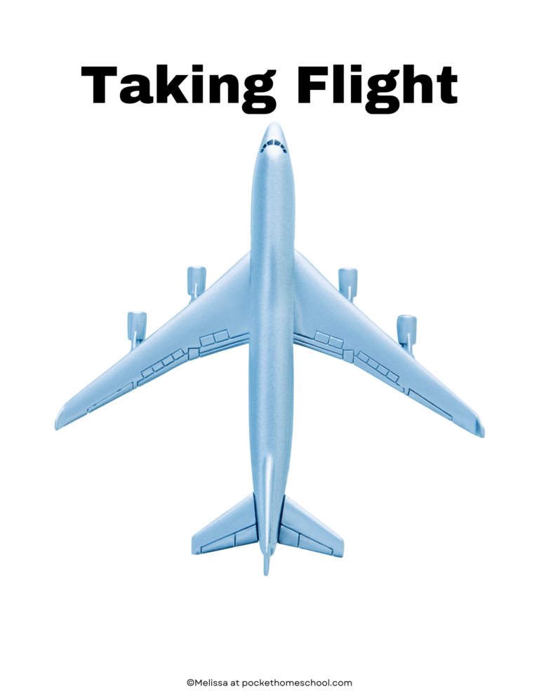 Taking Flight Activity Pack - Pocket Homeschool