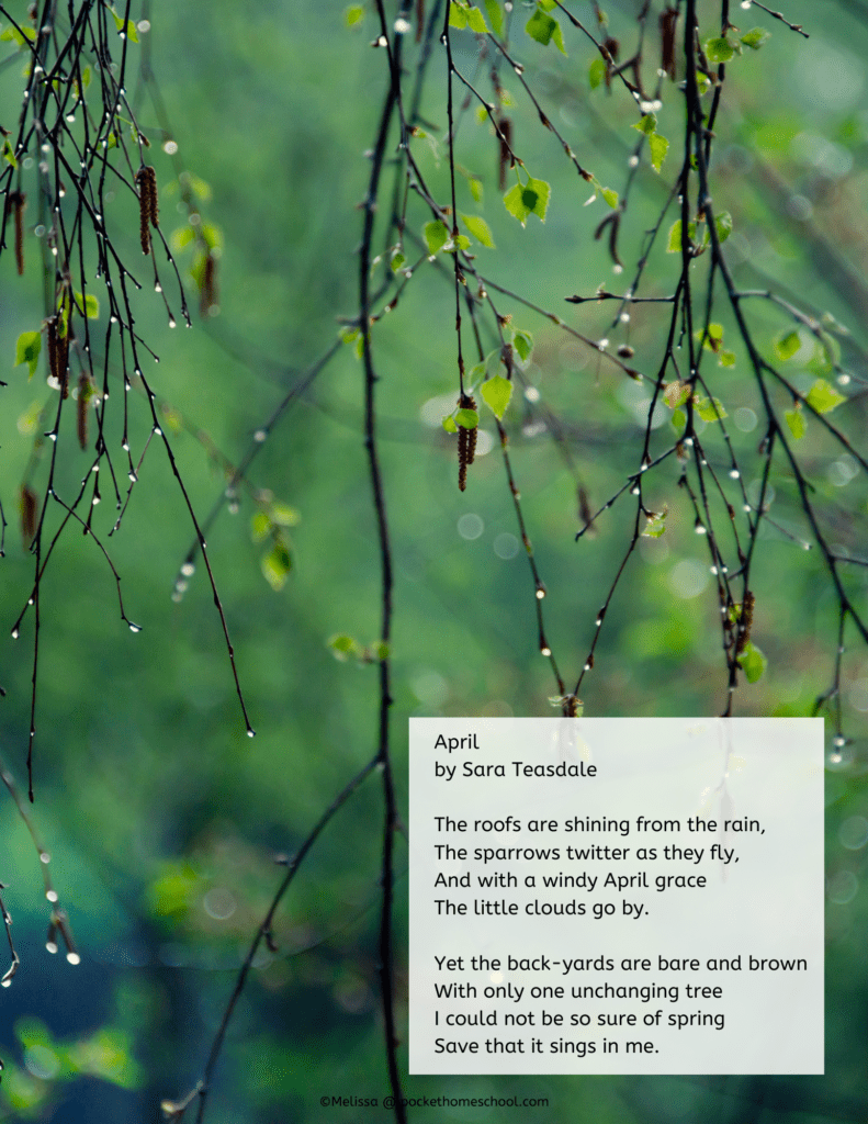 Poetry Through the Year Poetry Pack - Pocket Homeschool