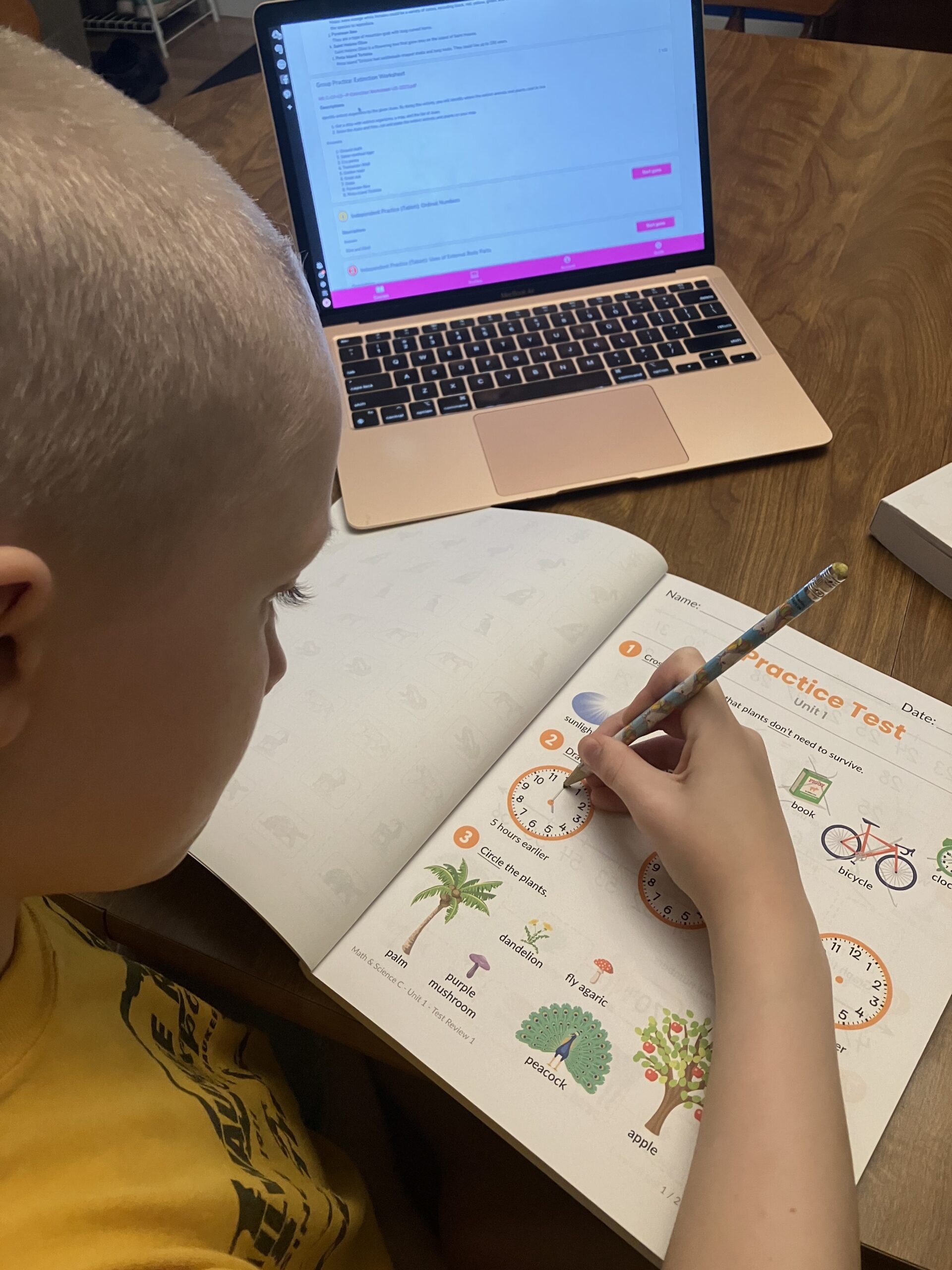 Homeschool Math and Science Integrated with SPORK Education - Pocket ...